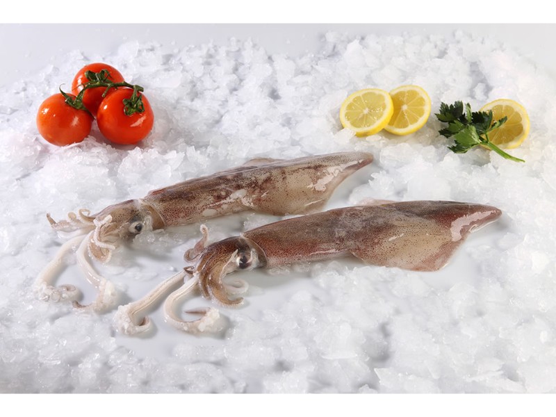 ΚΑΛΑΜΑΡΙ ΑΦΡΙΚΗΣ - Papaioannoufood.gr